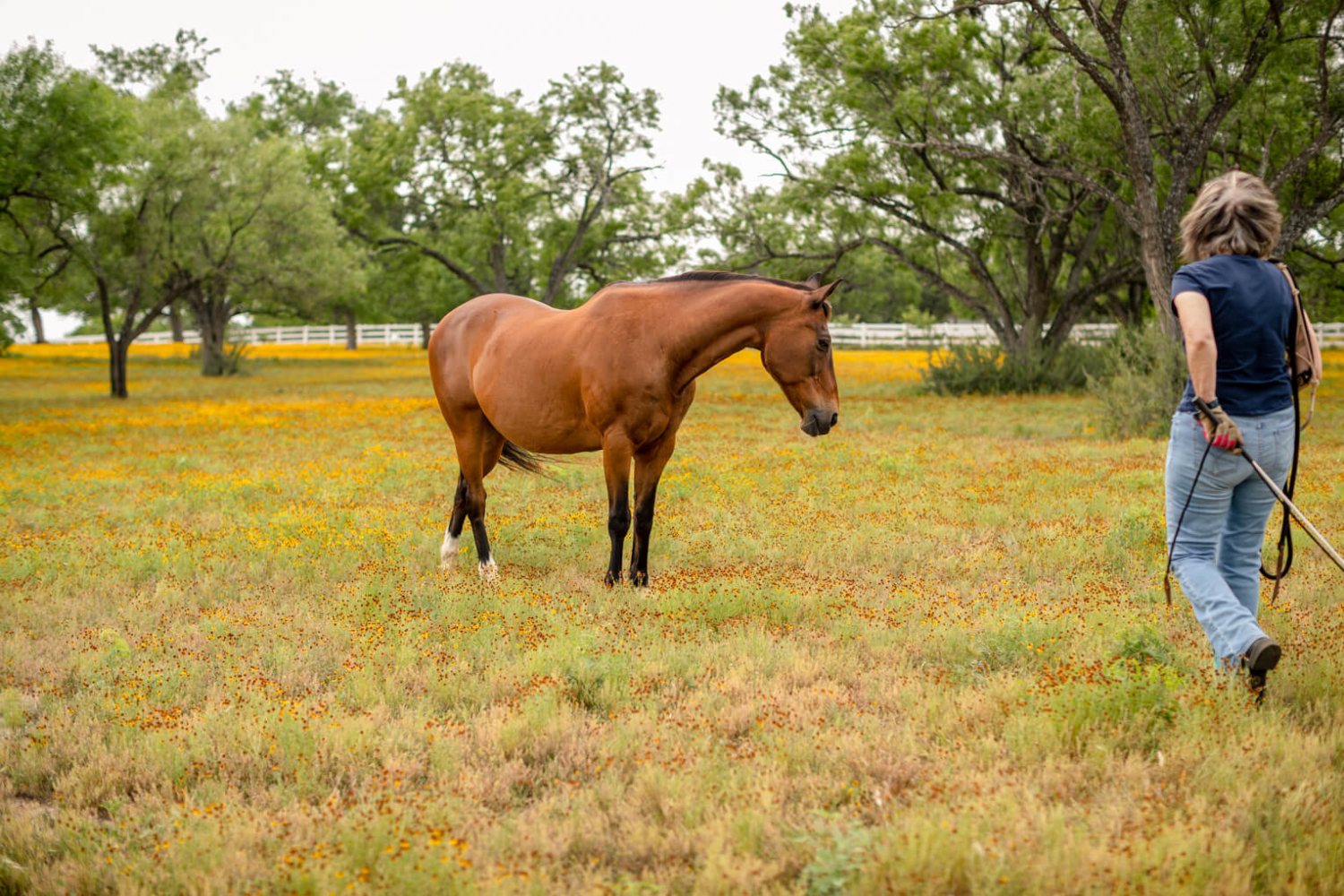 Horse Facility | RV Park | Freedom Lives Ranch RV Resort